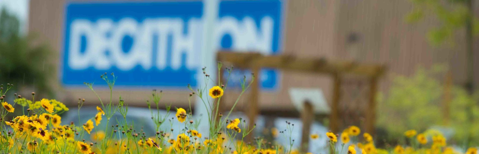 Job Decathlon Belgium - Business & Finance Controller | Decathlon ...